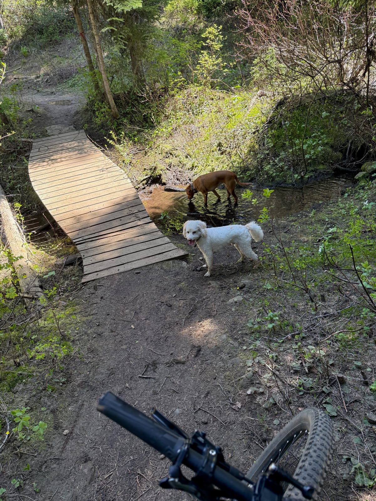 The Delivery Man Problem